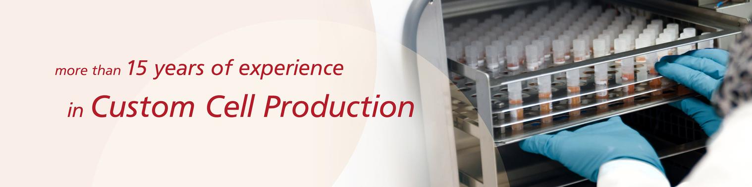 acCELLerate Homepage